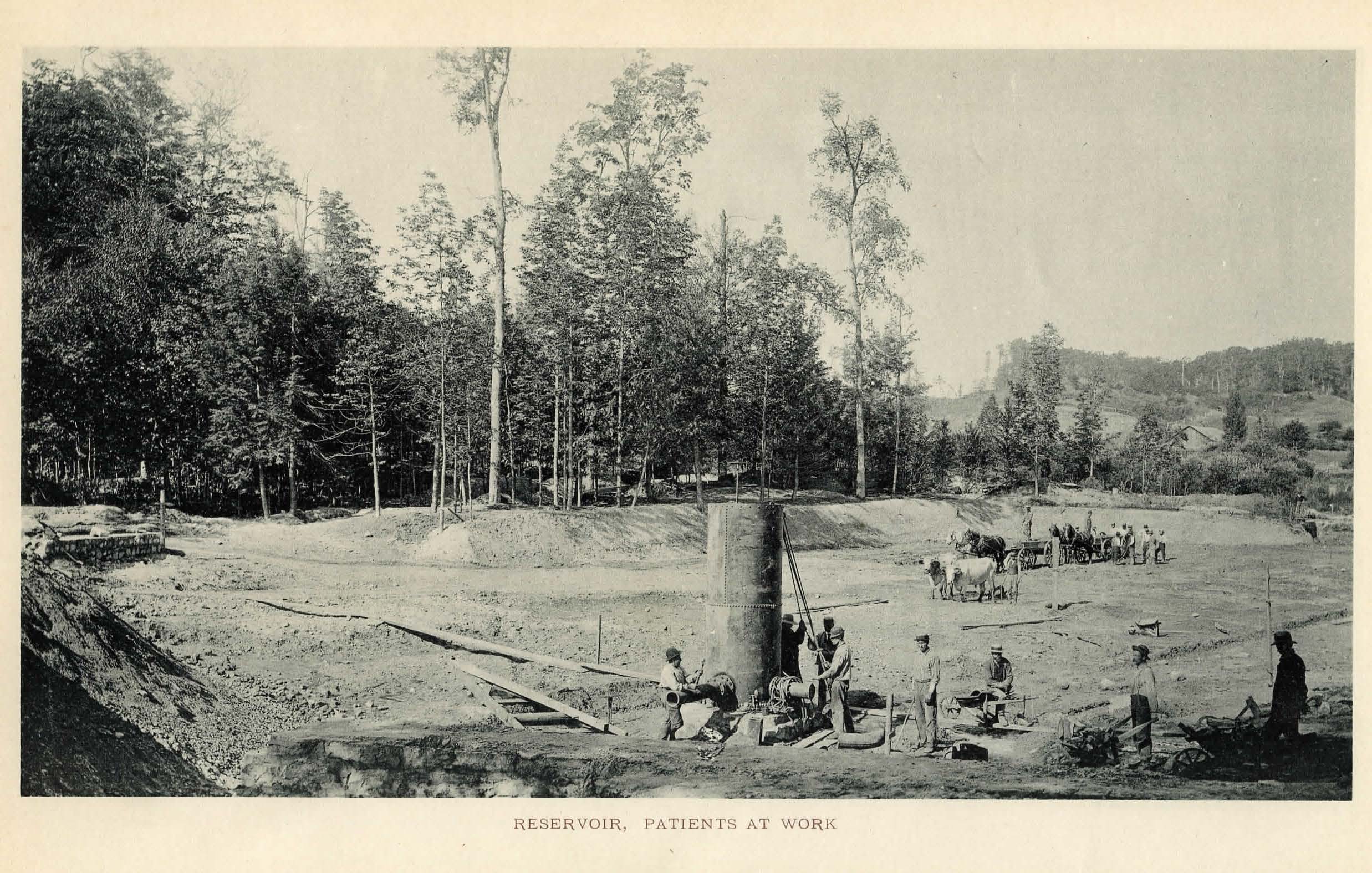 Picnicking at the State Hospital: Treatment and Tourism at the Traverse City State Hospital ...